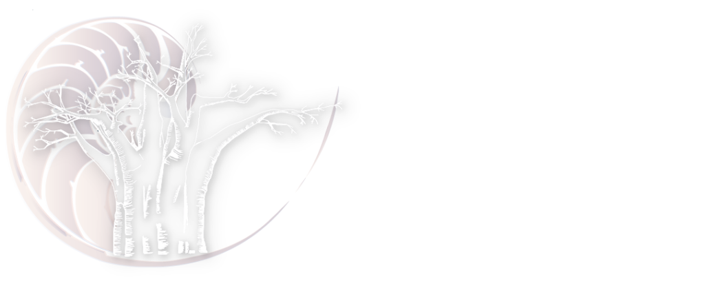 Acquista i biglietti per il BIOPARC Valencia