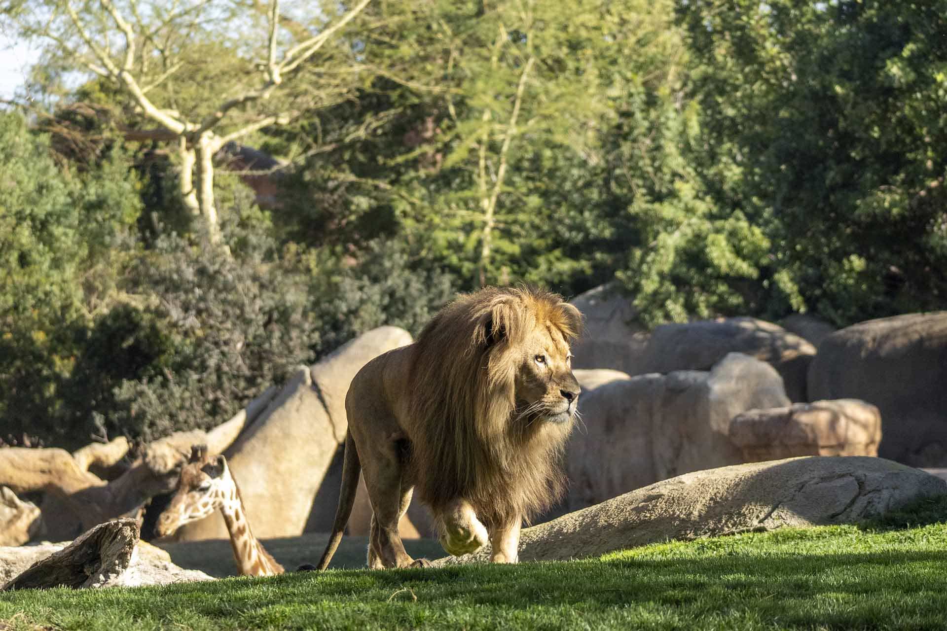 Explore the park - BIOPARC Valencia