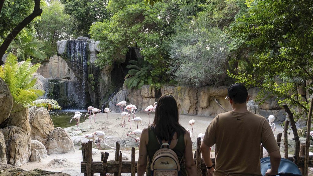 BIOPARC Valencia - Best animal parks in the world