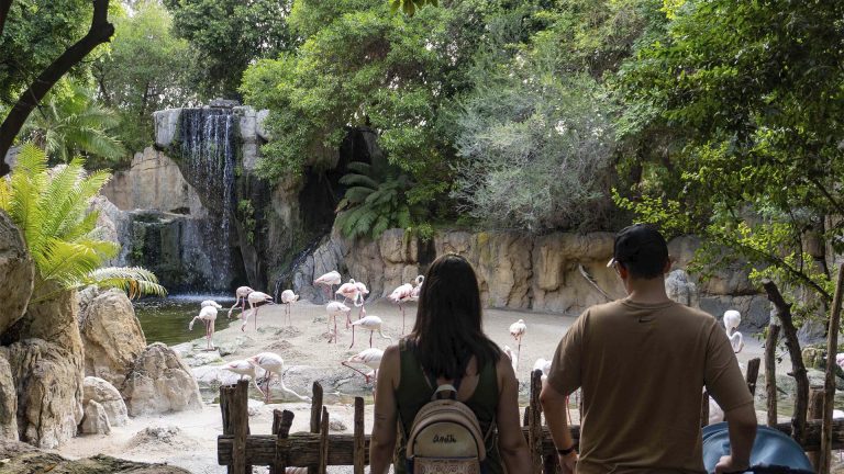 BIOPARC Valencia - Best animal parks in the world