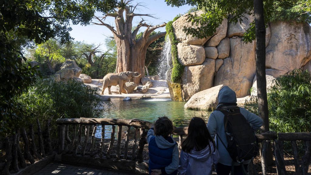 BIOPARC Valencia - I migliori parchi faunistici del mondo
