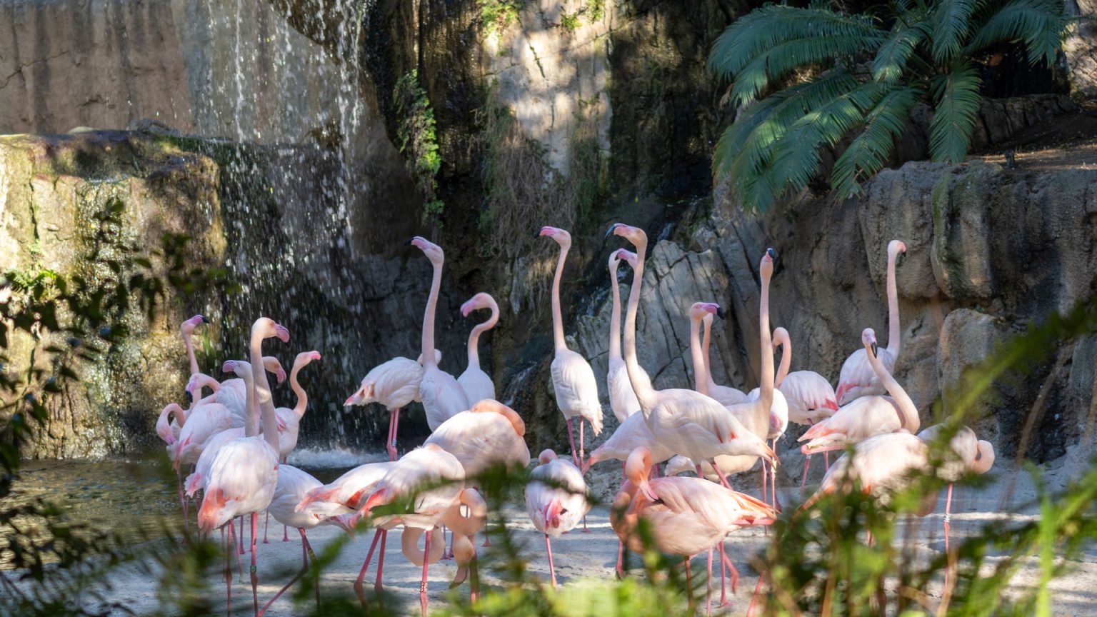 BIOPARC Valencia - Best animal parks in the world