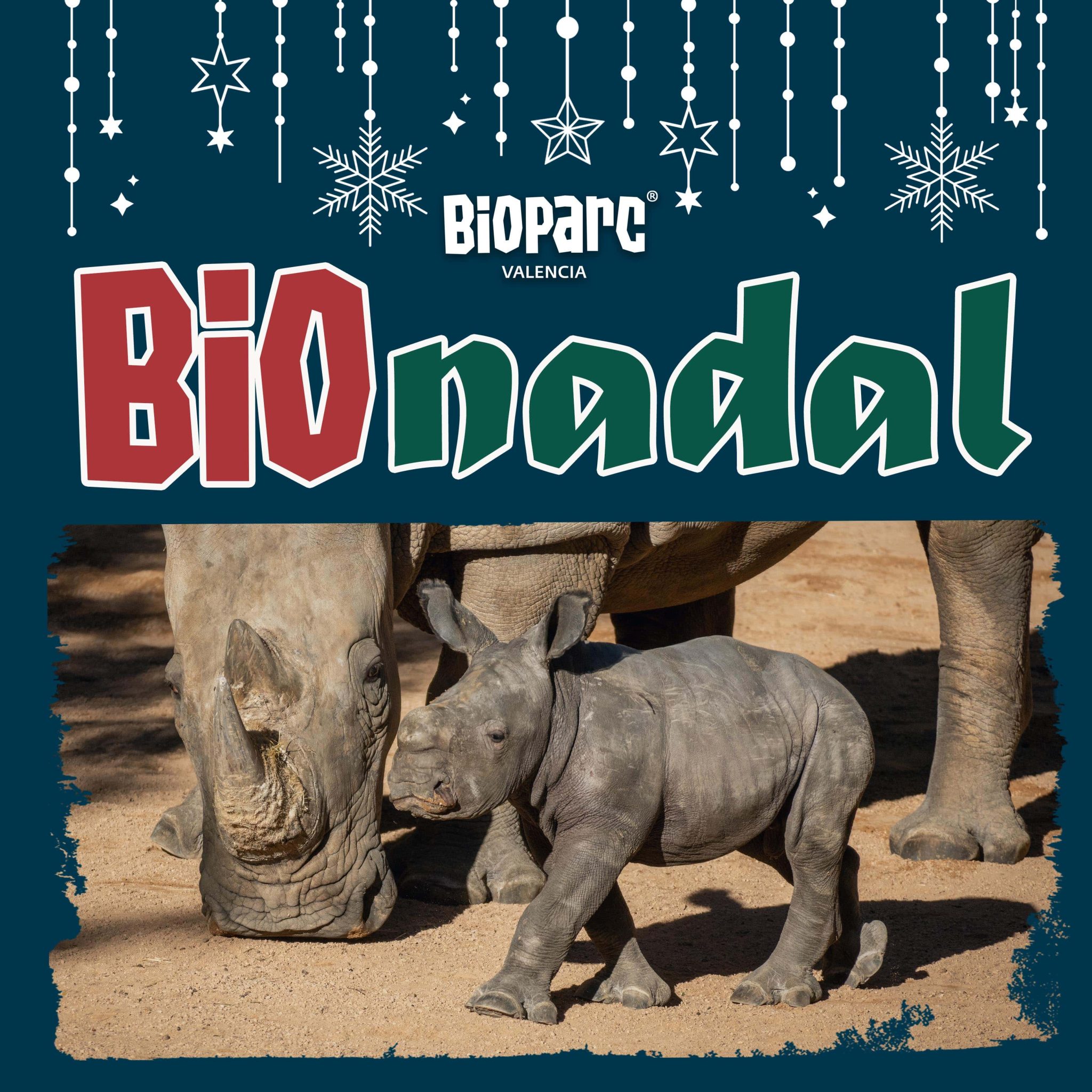 BIOPARC Valencia - Les meilleurs parcs animaliers du monde